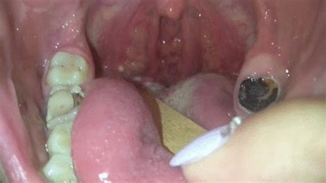 Inside My Mouth With Cam Mp Hd My Private Clips And Fantasies Clips Sale