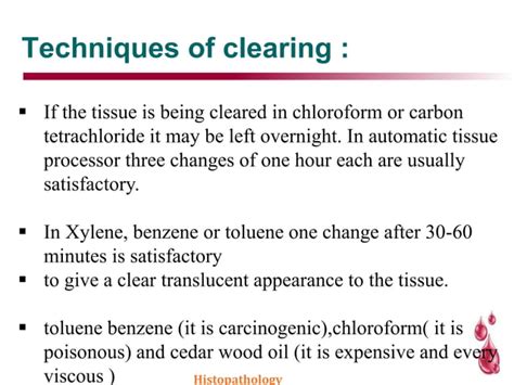 Lecture 2 Tissue Processing Pptx