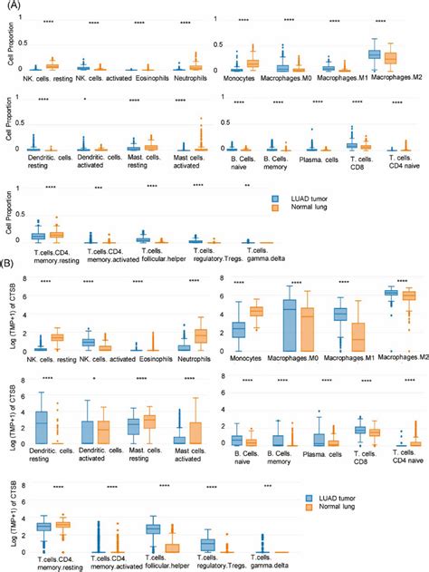 gepia based cell proportion analysis and differential ctsb expression