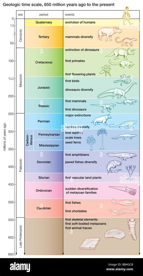 Why Is The Geologic Time Scale Important At Elton Evan Blog