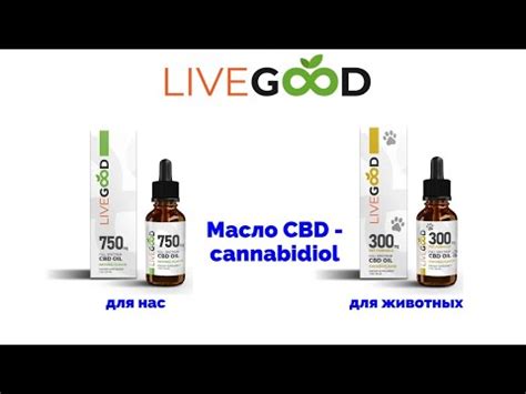 Live Good. Для чего нужно масло CBD (си-би-ди)? Райан и Лиза Гудкин ...