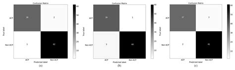 Sensors Free Full Text To Assist Oncologists An Efficient Machine