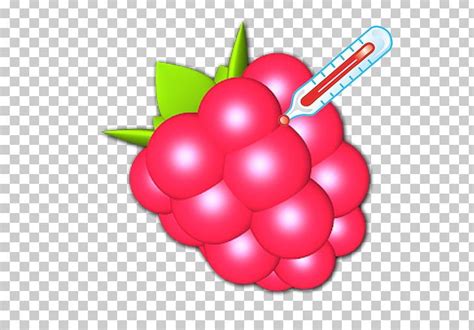 Raspberry Pi Android PNG Clipart Android Android Pc Apk App Berry Free PNG Download