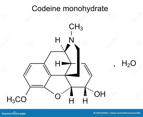 Codeine Chemical Formula Codeine Chemical Molecular Structure Vector Illustration