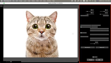 photoshop text not showing flickering image when adobe support