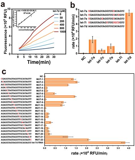 A Universal Crispr Cas12a‐assisted Methodology Based On Duplex Switch