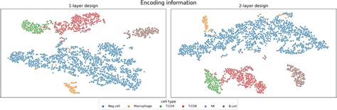 2d Tsne Showing The Dimensional Reduction Result Based On The Learned