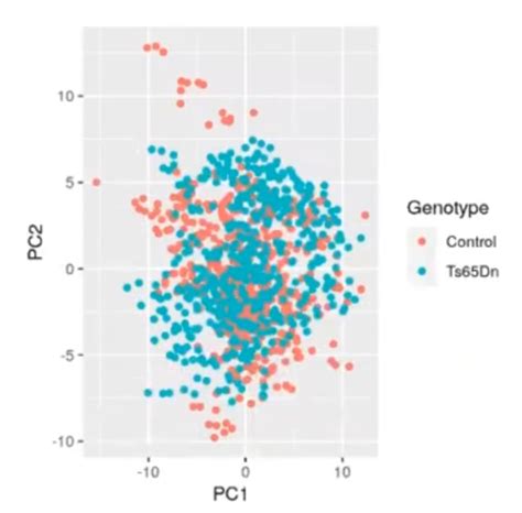 ¿cómo Aplicar Pca Al Dataset De Proteínas Keepcoding