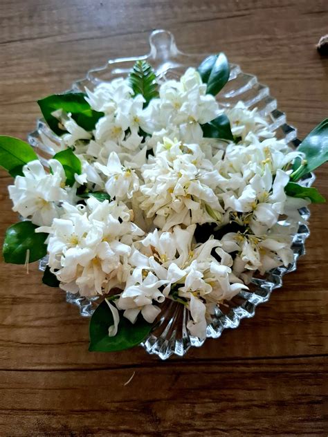 Sunreeta কামিনী ️ ️ সুনৃতা বড়ই মায়াবী এই ফুলের গাছ কামিনী যাদের বাড়িতে আছে তারা জানে