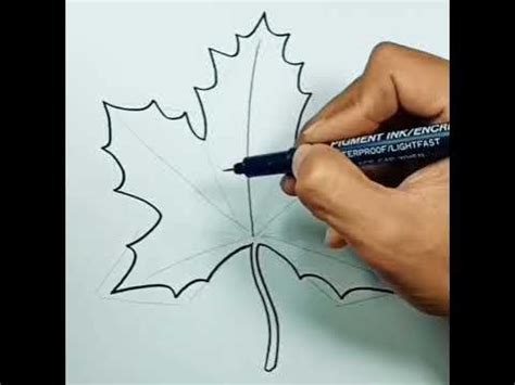 How To Draw Maple Leaf Shorts Step By Step Drawing Leaf Drawing Flower Drawing