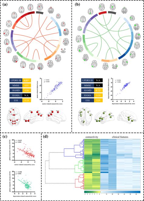Cca And Hierarchical Clustering Define Three Connectivity‐based