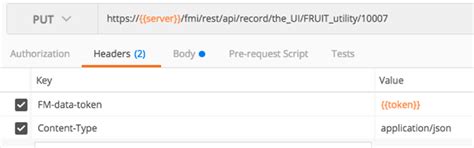 Filemaker Data Api Uses And Applications In Filemaker Server