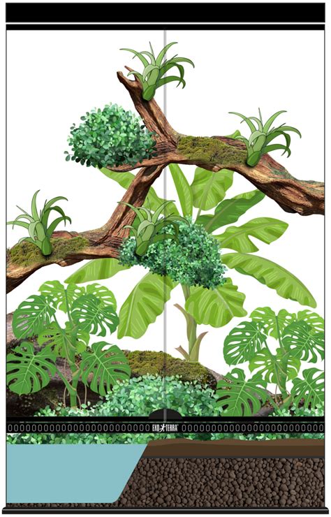 Microhabitat Types For Frogs Exo Terra