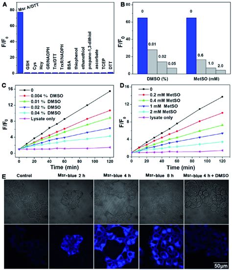 Selective Reduction Of Msr Blue By Msr A Activation Of The Download Scientific Diagram
