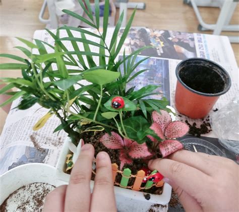 청플라워디자인학원에서 꿈을 이루어 드립니다