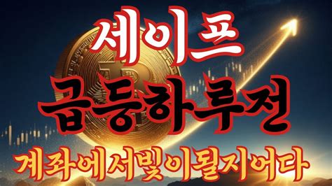 세이프 코인 전망 급등하루전 제발 따라하세요 지금은 살때 세이프코인 세이프코인전망 급등코인추천 Youtube