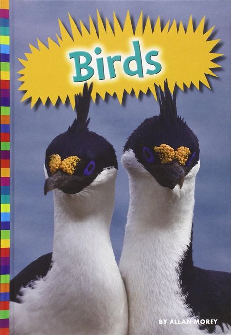 Birds Animal Kingdom Morey Allan 9781607534723 Books