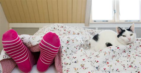 Te Laat Uit Bed Gekomen Je Kunt Deze Iphone Storing Als Excuus