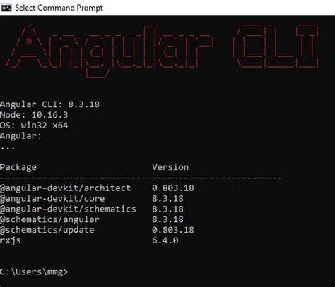 How To Solve The Angular Npm Error Error Package Install Failed