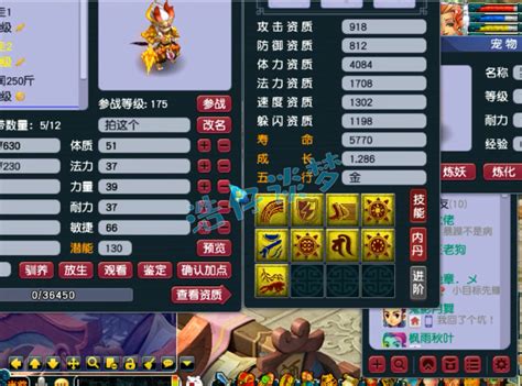 梦幻西游175服战级别盘丝洞，双速度灵饰也打11锻很豪横叶子猪梦幻西游电脑版