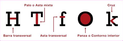Anatomía De La Tipografía Partes Que Componen Las Letras