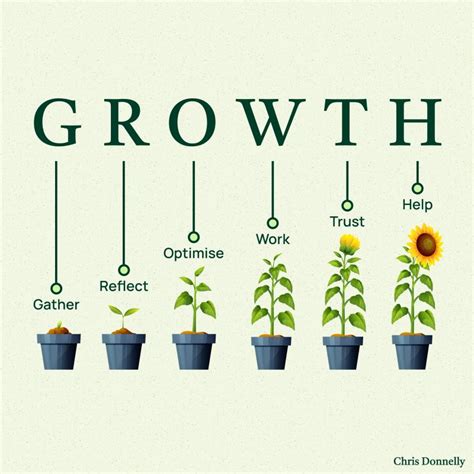 Growth Is Never A Straightforward Path Chris Donnelly