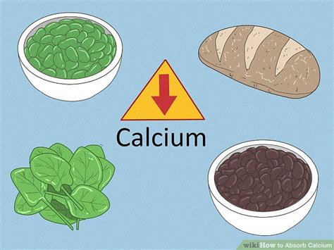 How To Absorb Calcium 11 Steps With Pictures Wikihow Health
