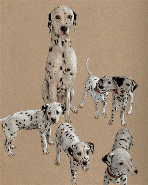 ˗ˏˋ James Mize ´ˎ˗ Jamesgmize • Instagram Photos And Videos