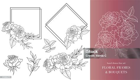 장미 꽃 라인 아트입니다 꽃 프레임과 꽃다발 라인 아트 미세한 선 장미 프레임 손으로 그린 그림입니다 손으로 윤곽선 잎과 꽃을 그립니다 식물 색칠 공부 페이지 장미 모란