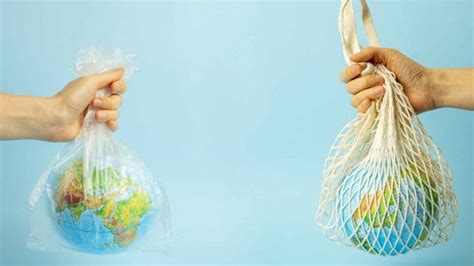 Reducing Single Use Plastics A Guide To Practical Solutions Better Tomorrow Co