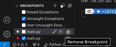 Visual Studio Code Debugger For Python How To Use Tms Developer Blog