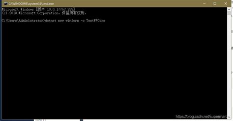 net core WinFrom桌面应用程序 初体验 netcore开发桌面应用 CSDN博客