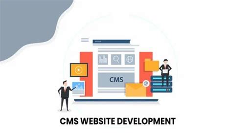 corporate web php cms website development services with online support