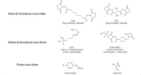 Types Of Cross Linkers Available Download Scientific Diagram