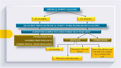 Seed Quality Testing Pdf Agriculture Industries