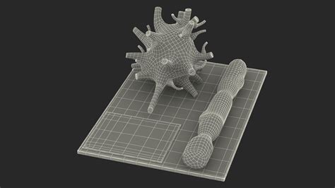 Human Neuron Model On Stand 3d Model 49 C4d Fbx Max Ma Lxo Obj 3ds Blend Free3d