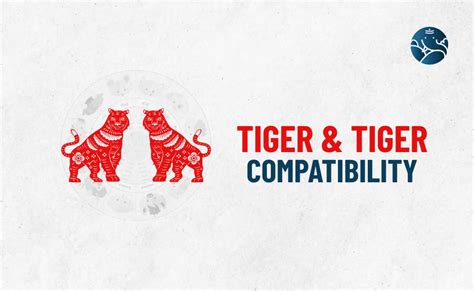 Tiger And Tiger Compatibility Tiger Tiger Compatibility