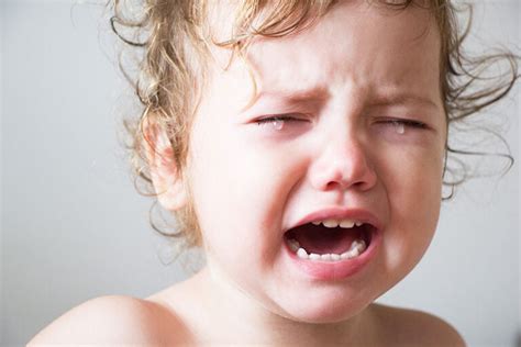 17 Other Words For Cry Collins Dictionary Language Blog