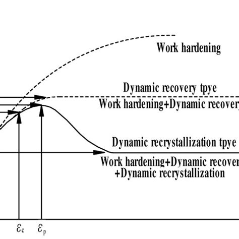 Dynamic Recovery And Dynamic Recrystallization Type Stress Strain Curves Download Scientific