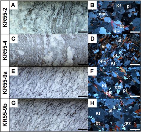 Photographs Of Drill Core Samples A C E G And Representative Download Scientific Diagram