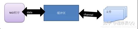 如何掌握Netty先看看实例动图下介绍的JavaNIO编程模型 知乎