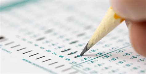 5 Last Minute AP Statistics Review Tips For Teachers