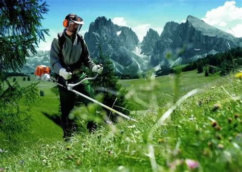 Stihl FS Trimmer Review Is It Any Good The Ultimate Home Living Blog