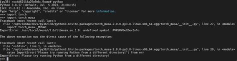 Docker中 Import Torch Musa 报错：importerror Please Try Running Python From A Different Directory