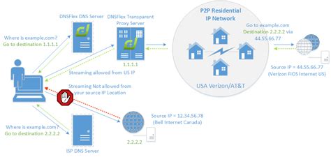 Smart DNS DNSFLEX
