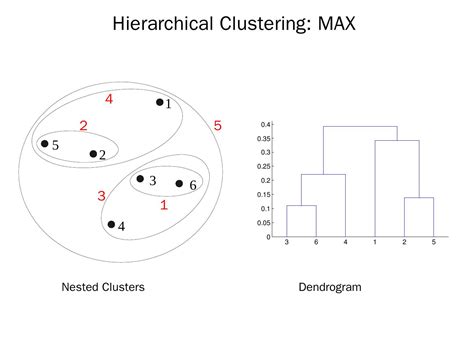 Data Mining Cluster Analysis Basics