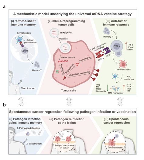 浙江大学生命科学学院