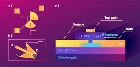 Graphene Detector Reveals Thz Lights Polarization Using Interference