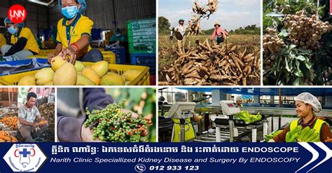 ការនាំចេញកម្ពុជារកចំណូលបានជាង ២២ពាន់លា នដុល្លារក្នុងឆ្នាំ ២០២៣ ខណៈប្រទេស៥នេះជាទីផ្សារធំបំផុត