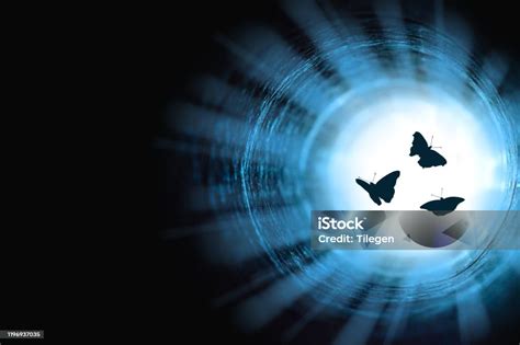 세 마리의 나비가 터널안으로 날아갔다 어두운 터널 끝에 밝은 빛과 텍스트의 복사 공간 새생명에 대한 스톡 사진 및 기타 이미지 새생명 죽음 개념 종점 Istock